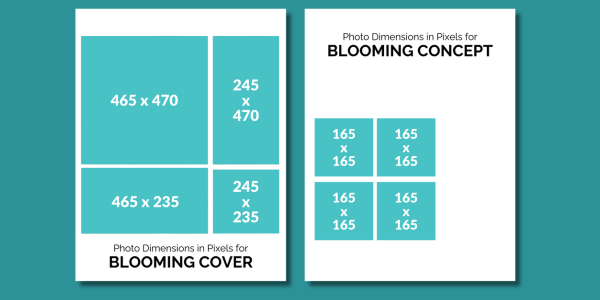 The Proposal: Image Sizes