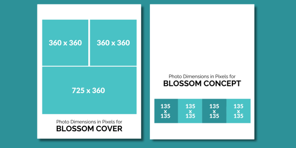 The Proposal: Image Sizes